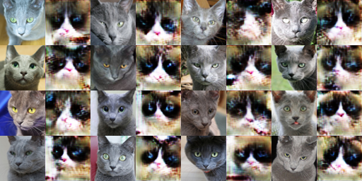 When Cats meet GANs